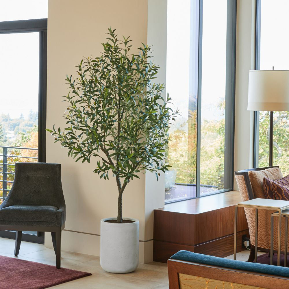 Faux Olive Tree, 7 ft – Pier 1