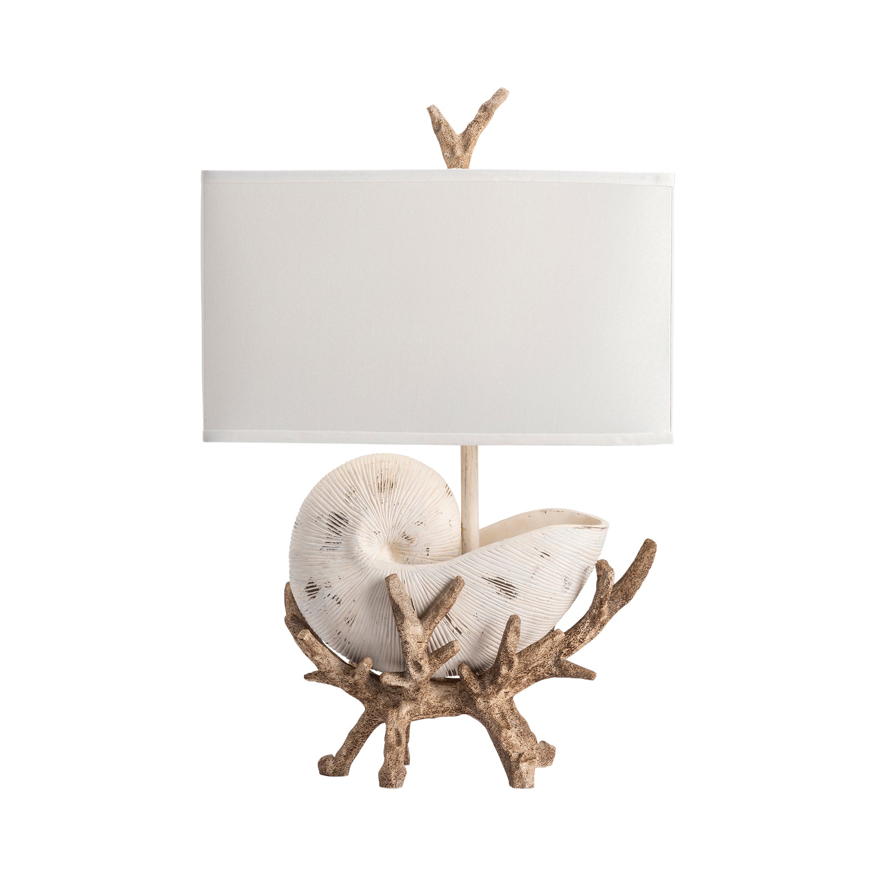 Sleeping Shell Table Lamp – Pier 1
