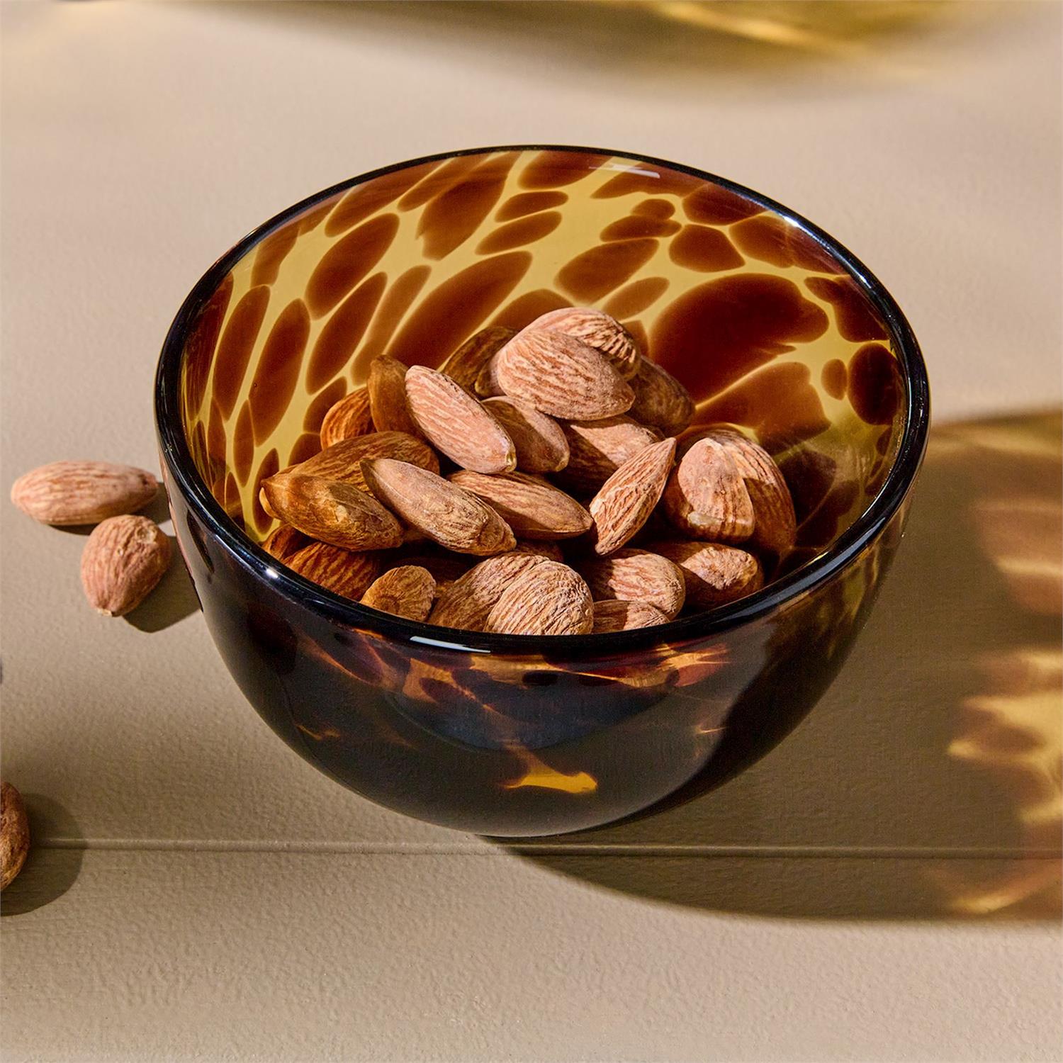 Tortoise Print Tidbit Bowl, Set of 2 – Pier 1
