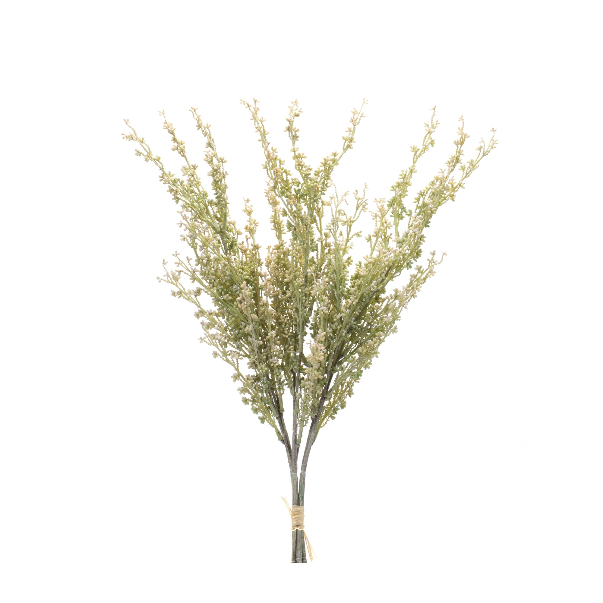 Mini Seed Pod Bundle, Set of 2 – Pier 1
