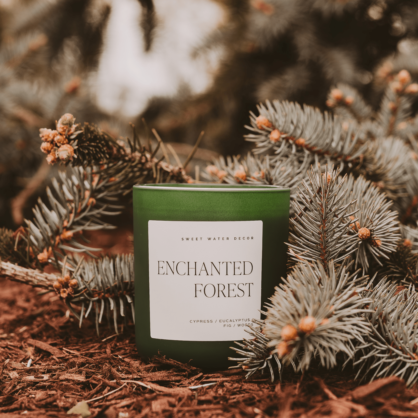 Enchanted Forest Soy Candle - Green Matte Jar - 15 oz (Let it Snow ...