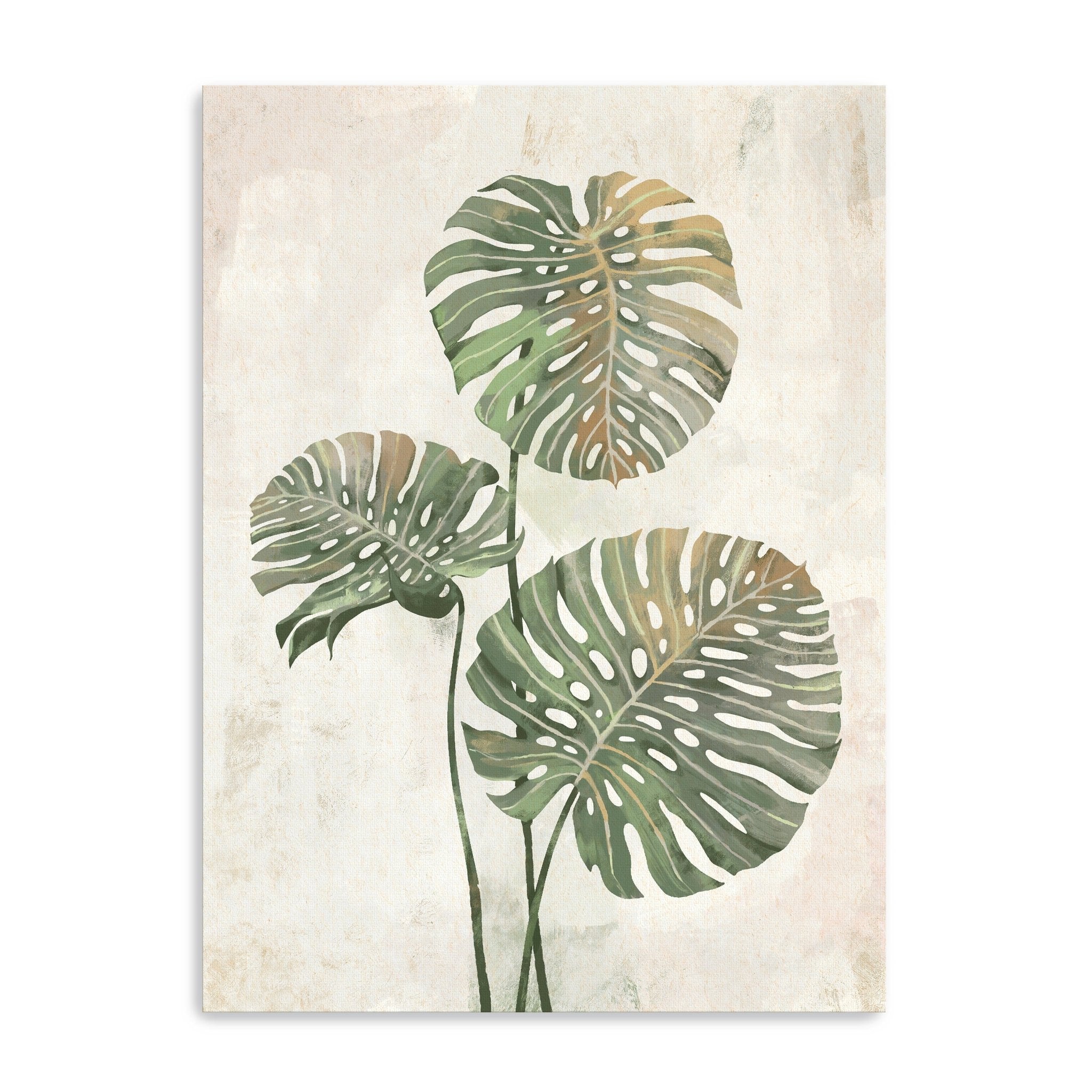 Monstera Leaves Canvas Giclee - Pier 1