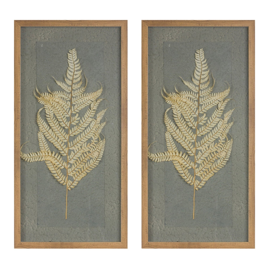Dried Fern Frame, Set of 2 – Pier 1